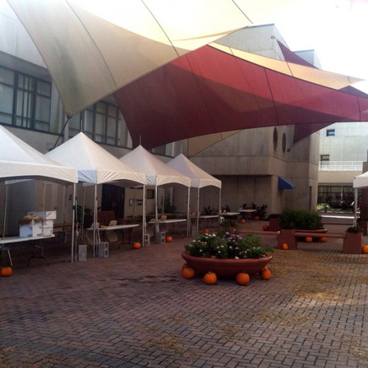 Elite Events & Rentals | Gallery - Elite Events & Rentals